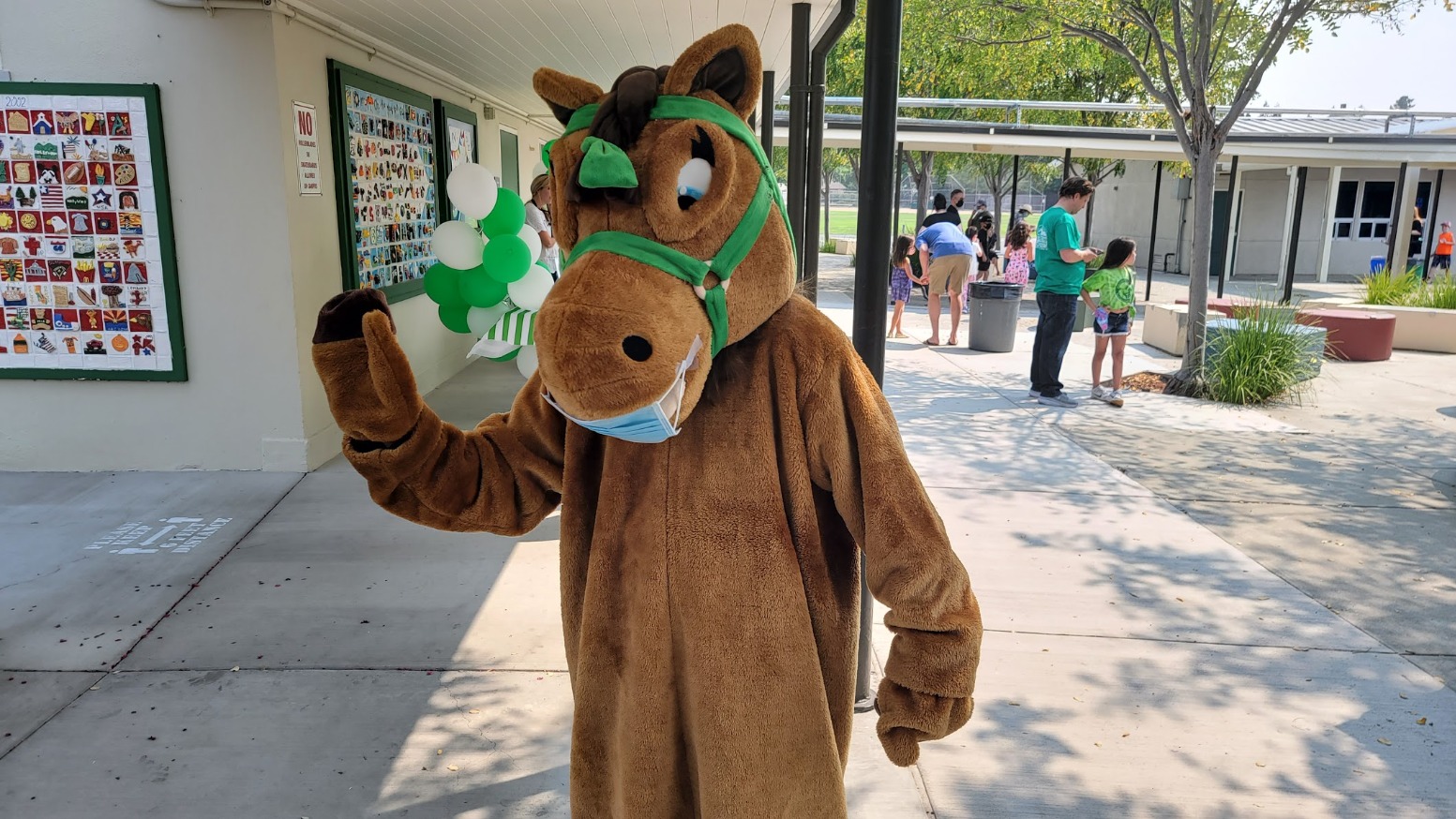 Green Valley Elementary School - New Student Social
